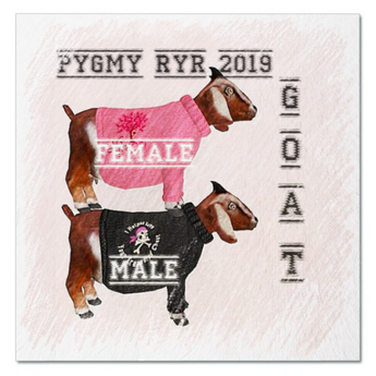 Second Life Marketplace - UA [FP-texture] DFS Goat Pygmy RYR 2019 ...